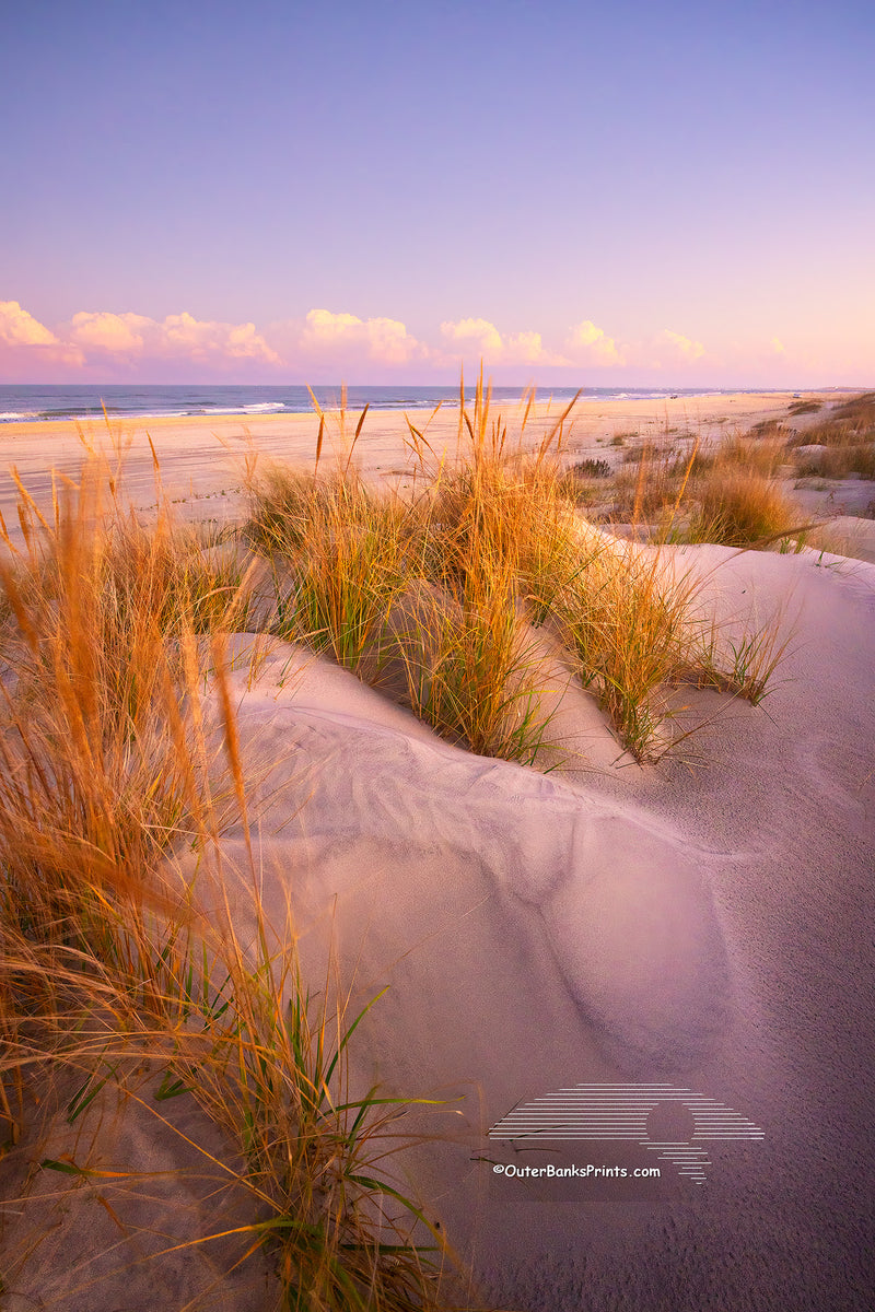 Morning in the Dunes Outer Banks Beach – Outer Banks Photo Prints